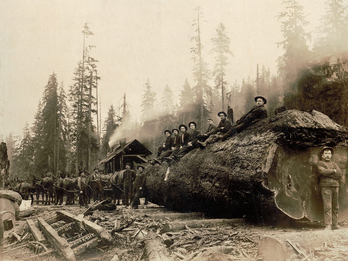 Old Time Logging