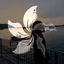 Leetcode 287: Find the Duplicate Number | by Katy Tong | Medium