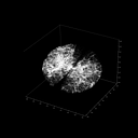 Visualizing Cosmological Horizons | by Jan Niedospial | Cosmic ...