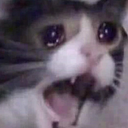 Using Python to Read and Save Your Outlook Emails! | by Alex Thines ...