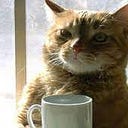 Vector Database — Introduction and Python Implementation | by Denaya | Medium