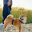 Spring Boot: What Is an Interceptor? How to Configure It in a Project ...