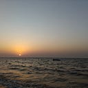 Build Smarter with Expo: Your Beginner Setup Handbook | by React Native Dev | Stackademic