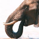 Building a Trading Bot in Python: A Step-by-Step Guide with Examples ...