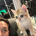 Using IHttpClientFactory in ASP.NET Core: Optimizing HTTP Requests for Performance and ...