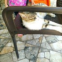 How to Create a Button in Java Android Programmatically | by Mehmet Abak | Medium