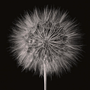 Using LocalStack with Spring Boot to simulate locally AWS Web Services: SNS, SQS, DynamoDb… | by ...