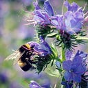 Why my scheduled DAG does not run? Apache Airflow dynamic start date for equally/unequally ...