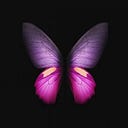 Understanding Different Types of Programming Case Types | by Vidhi ...