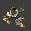 How to use Axios to send binary data | by Jason JJ | Medium