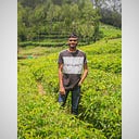 Installing Libraries (NumPy, scikit-learn) in a Docker Container | by ...