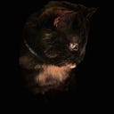 Building a Basic Authorization Server using Authorization Code Flow ...