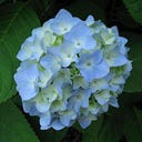 Adding Xticks & Yticks Using MatplotLib In Python | by TrainDataHub | Medium