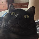 Demystifying LLM Quantization Suffixes: What Q4_K_M, Q8_0, and Q6_K ...