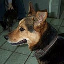 How to safely pass a Function type to a function in Typescript? | by Tamás Polgár | Developer ...