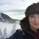 The Python/C API: A Brief Introduction | by Ashley Wans | Medium