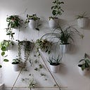 Parsing Fixed Width Text Files with Pandas | by Amy Rask | Towards Data Science