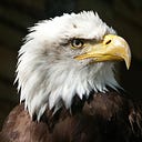 Mastering Java Beans Integration: A Step-by-Step Guide" | Medium