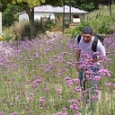 Groupby in Polars. Learn how to do group data using the… | by Alexandre Petit | Python in Plain ...