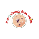 Role of microorganisms in the cosmetic industry | by Microbiology Easy ...