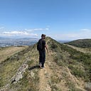 Efficient Bulk Data Insertion into PostgreSQL with Java | by Peter Eremeykin | Medium