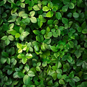 Mastering Python Dictionaries: Tricks and Techniques | by Abhishek ...