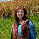 Semantic Segmentation: A TensorFlow Exploration of FCN, and Transfer ...