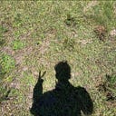 Boids : A flocking algorithm. Simulating Flock Dynamics: Exploring… | by Tufayl | Medium