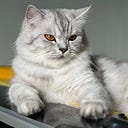 Remote Mobile Automation Execution and Mobile Device Farm Setup using ...