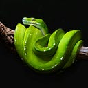 WSGI Explained. Where we explain application objects… | by Mikhail Berkov | More Python | Medium