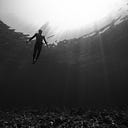 Comparing CNNs and Transformers: Understanding the Differences and Key ...