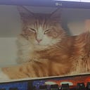 Intel 16th/17th Gen CPUs to Get Rentable Units: Why Hyper-Threading is Going Away | by Areej ...