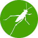 Getting started with Grasshopper. 👋 Hi there and welcome! This course… | by Danil Nagy ...