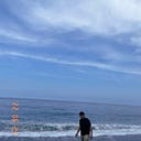 Custom SHAP summary plot - LIN WEI LIN - Medium