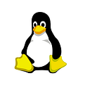 “Mastering Linux: The Ultimate Guide to Becoming a Linux Expert” | by ...