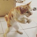 Why Ctrl C Terminates Your Programs In The Terminal By Alember