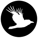 BitNest Update: Day 9 of 14 — On Track, Growing Fast. | by The ...