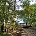 How to Use a Neural Network and SciKit-Learn: A Practical Implementation | by eshan.k.iyer | Medium