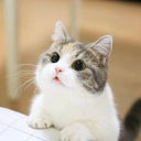 Mengenal Node.js dan NPM, Manajemen Paket untuk Pengembangan Modern ...