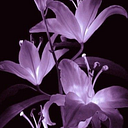 Scalable React Folder Structure Guide (2025) | JavaScript in Plain English