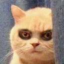 TryHackMe — Linux Shells | Cyber Security 101 (THM) | by Z3pH7 | Medium