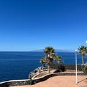 How to carry out an Ordinal Logistic Regression in SPSS using a ...