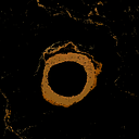 [Rust] Dioxus v0.6.0-alpha Walkthrough (Updated for v0.6.1) | by Rohan Kotwani | Intro Zero | Medium