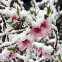 Developing a Weather Model with Machine Learning in Python | by Maarten ...