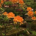 Clean up locked resources in Azure | by DataFairy | Medium