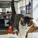 SQL Server String Aggregation: FOR XML PATH vs. STRING_AGG Performance ...