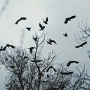 Running Javascript in C# : Combining Two Powerful Languages | by Manjul Chawla | Medium