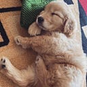 How to list all your data factory pipelines inside a databricks ...