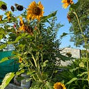 Privilege Escalation via MS SQL Server in a Domain Environment | by ...