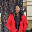 Image Blending Using Laplacian Pyramids | by Michelle Zhao | Becoming ...